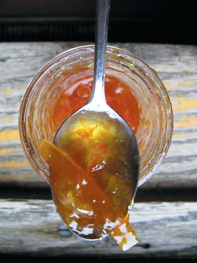 Three Citrus Marmalade Recipe